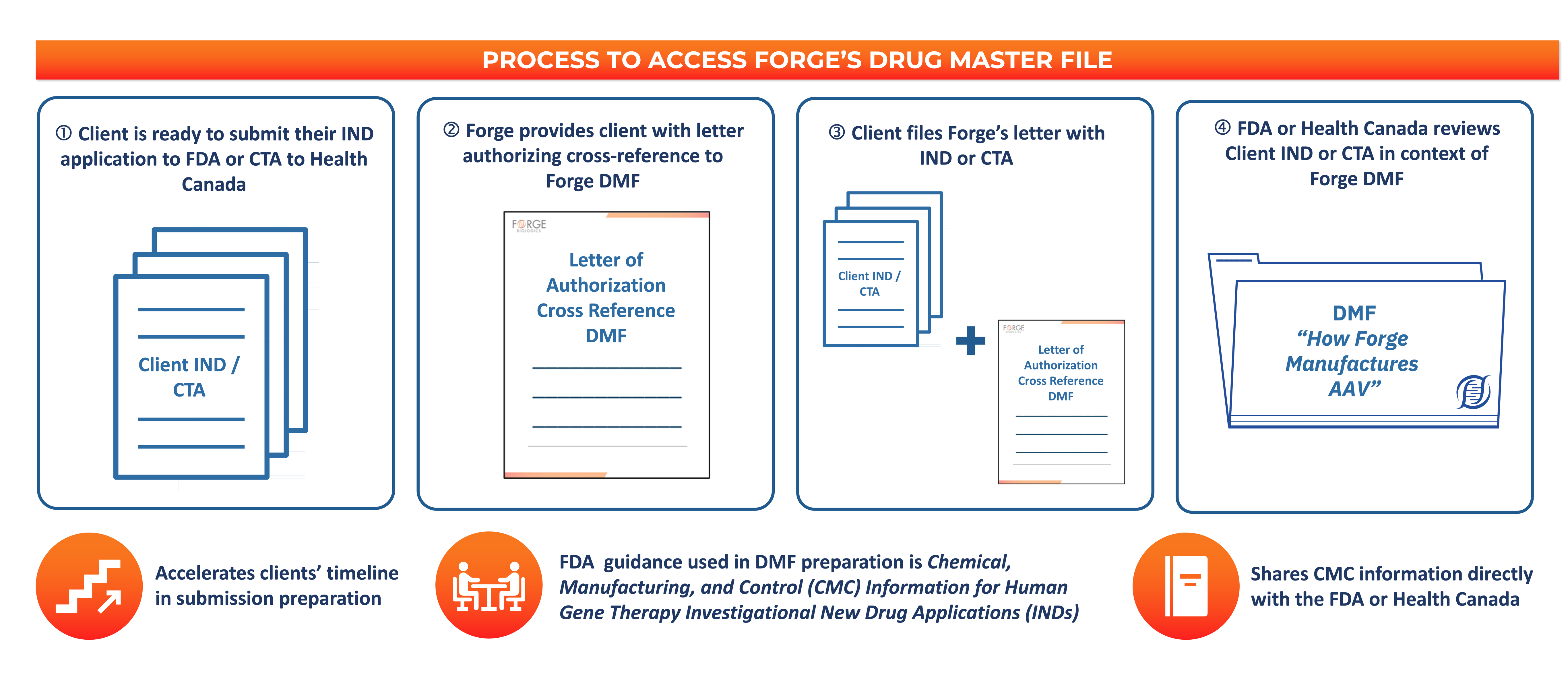 Looking to Streamline Your IND or CTA Filing? Forge Can Help Accelerate Gene Therapy Programs ...